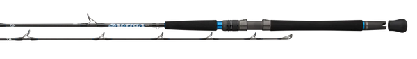 Daiwa Saltiga Vertical Jigging Rod – Johnny Jigs